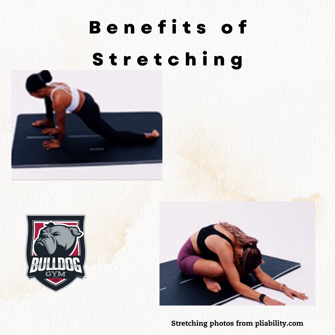The Role of Stretching in Injury Prevention and Recovery – Bulldog Gym ...